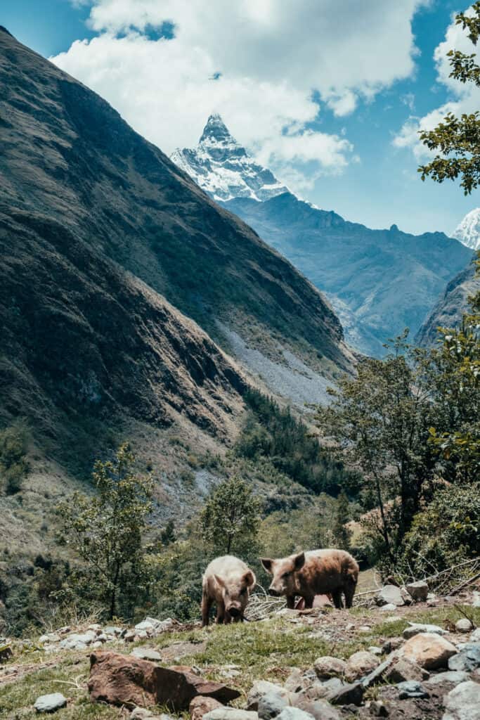 How to hike the Santa Cruz Trek in 3 days (self-guided) | tobinka