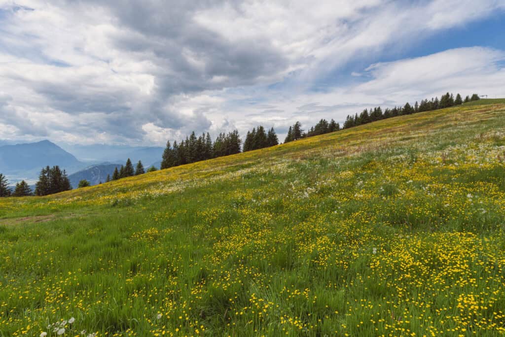 Hike up Mount Rigi on the Mark Twain Trail | tobinka