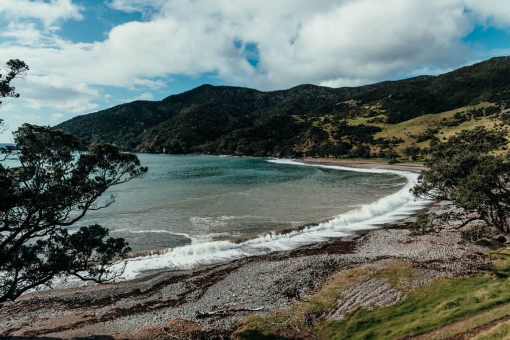 Coromandel Coastal Walkway | tobinka