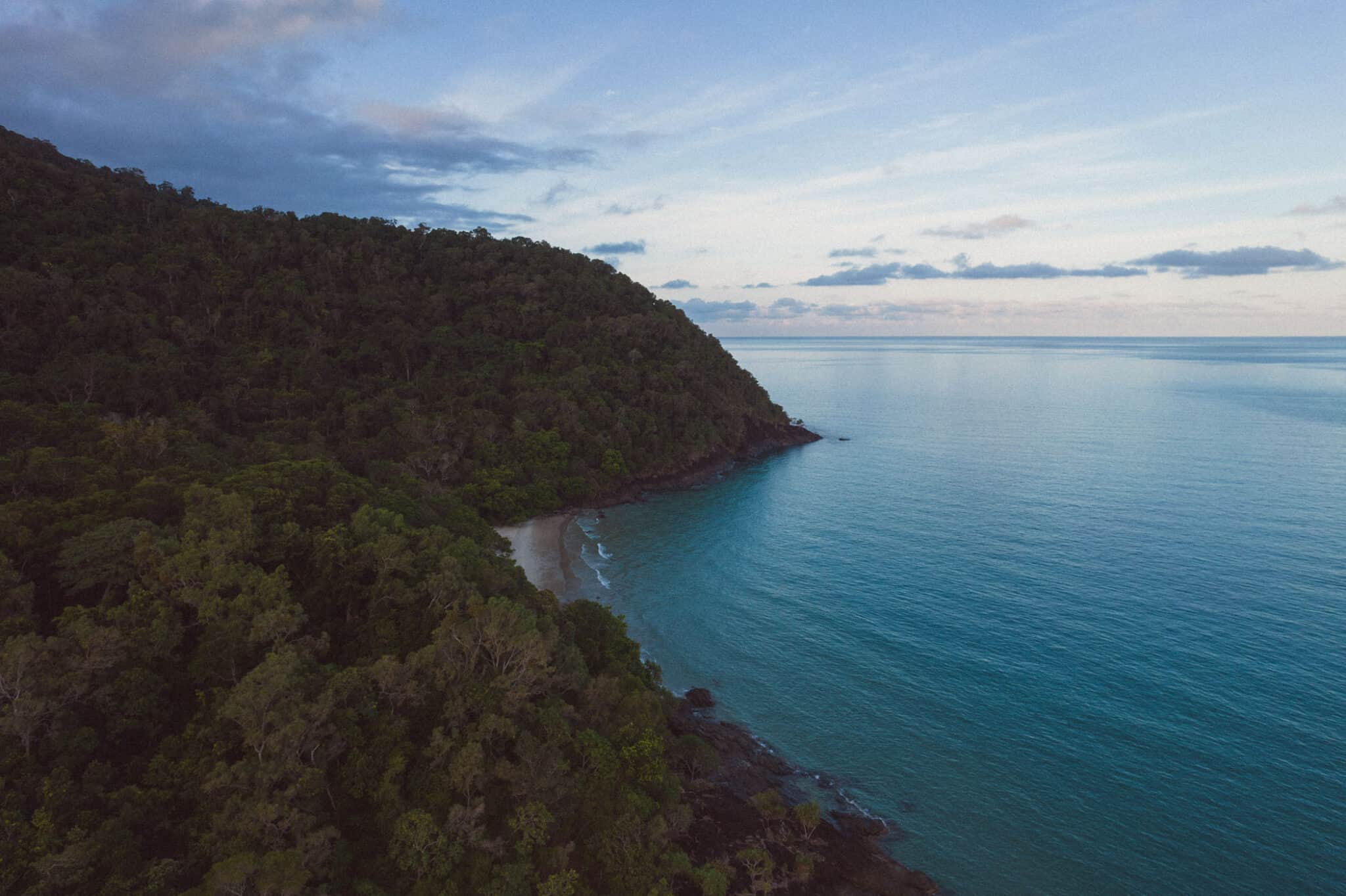 The best Daintree Rainforest Walks | tobinka
