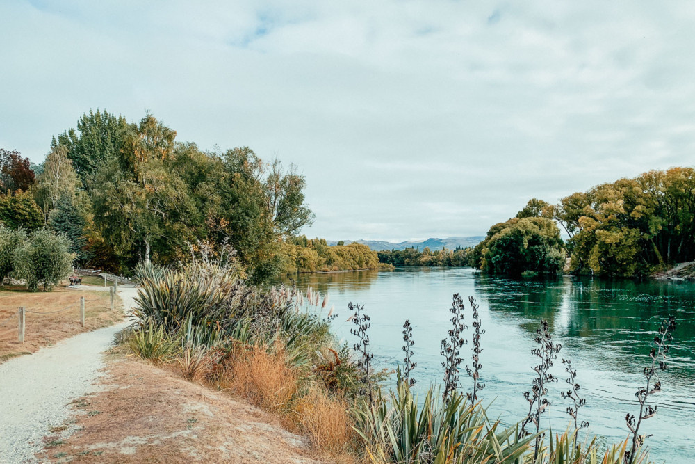 Otago Central Rail Trail - the Original Great Ride | tobinka